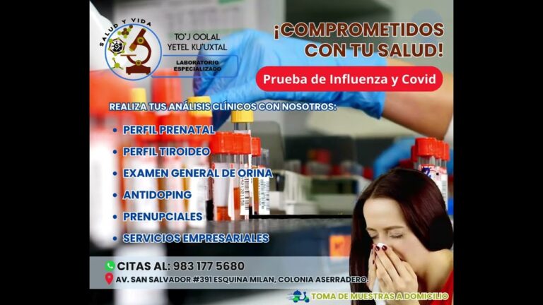 El laboratorio Similares en Chetumal: eficiencia y calidad en servicios ...